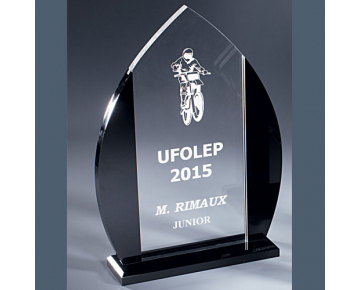 Trophées en plexiglass - Delospro 95